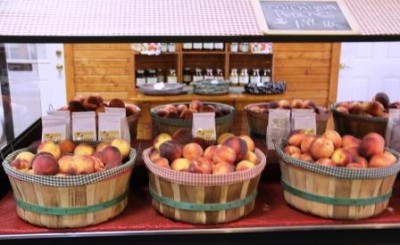 Visit Stade’s Farm & Market’s Shades of Autumn for Family Fun