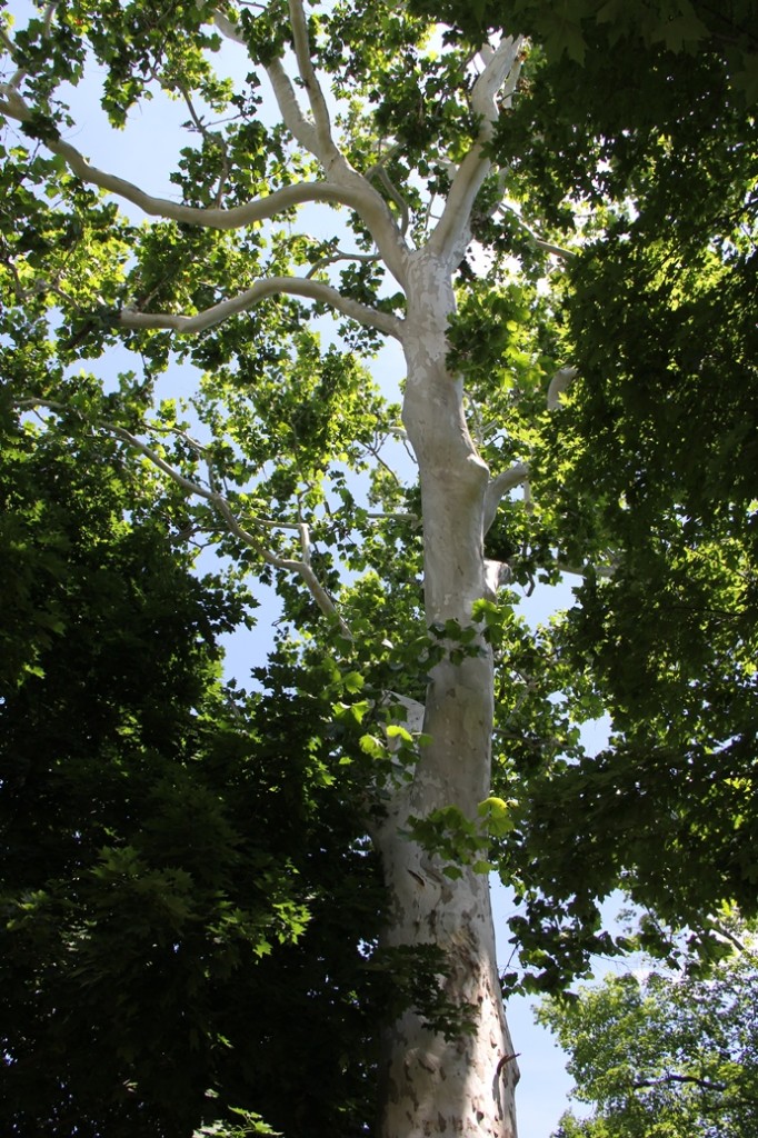 Touring the University of Notre Dame Campus, South Bend, Indiana