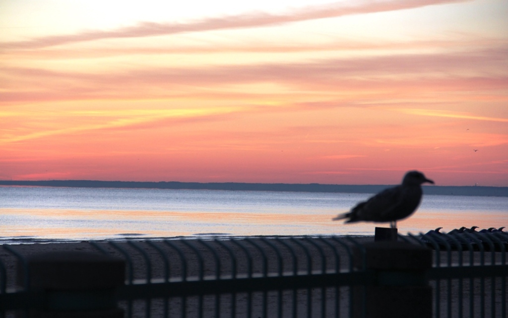 Photographing Cedar Point, Sandusky, Ohio