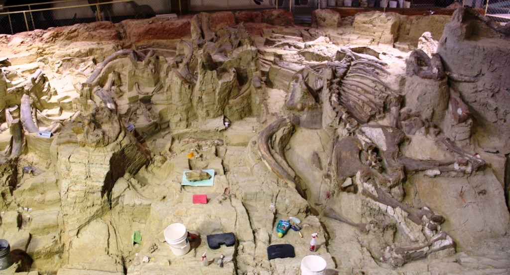 Mammoth Site of Hot Springs: Prehistoric History Uncovered