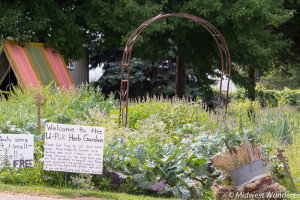 Corey Lake Orchards | Midwest Wanderer