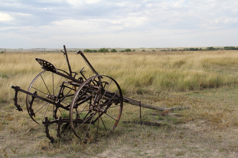 Prairie Homestead: Original Sod House and White Prairie Dogs
