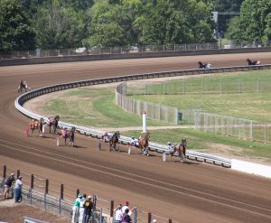 25 Ways to Have Fun at the Illinois State Fair