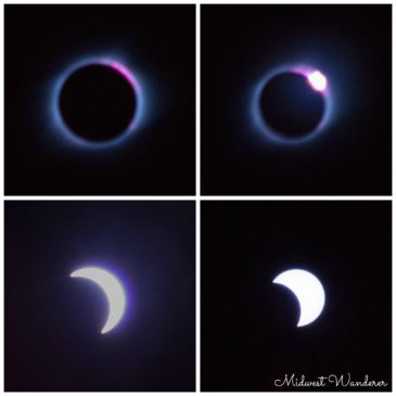 Do Cicadas Chirp During a Solar Eclipse?