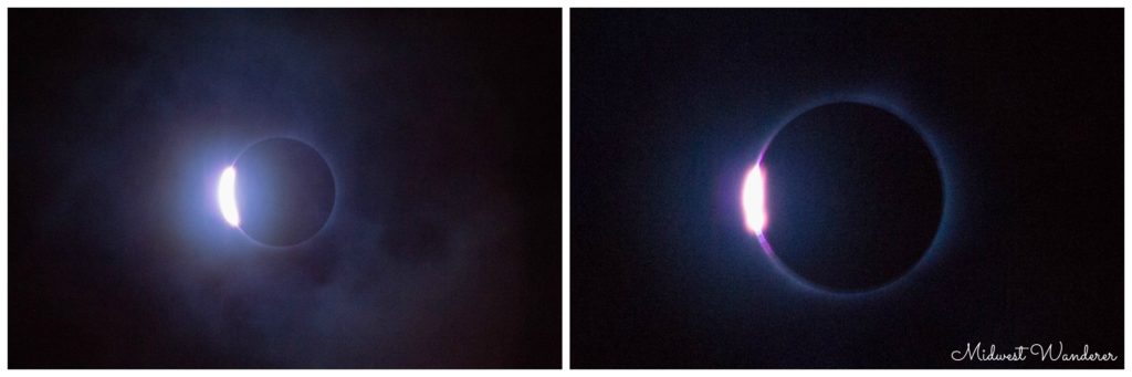 Do Cicadas Chirp During a Solar Eclipse?