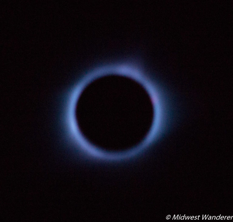 Do Cicadas Chirp During a Solar Eclipse?