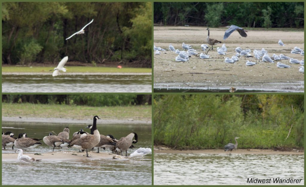 Sail Peoria: A Private Sailboat Cruise on Peoria Lake