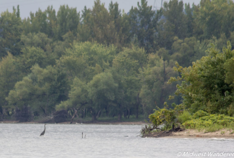 Sail Peoria: A Private Sailboat Cruise on Peoria Lake