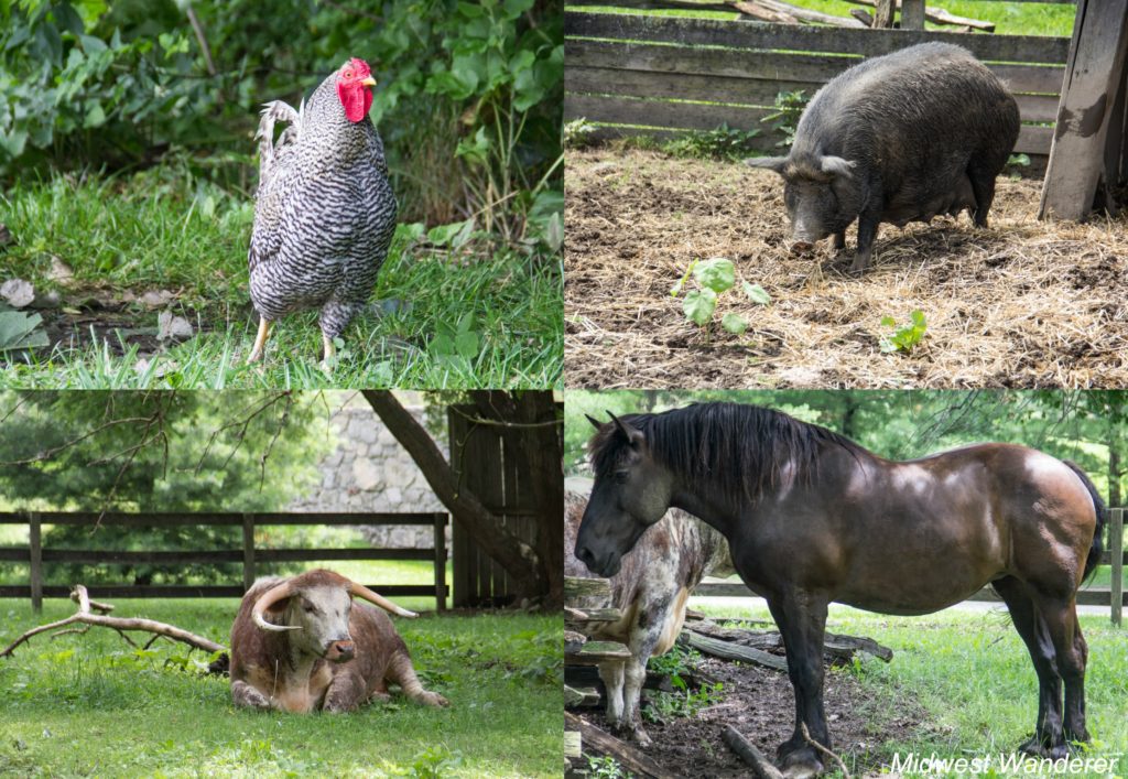 Conner Prairie: Fun Exploring 19th Century Life