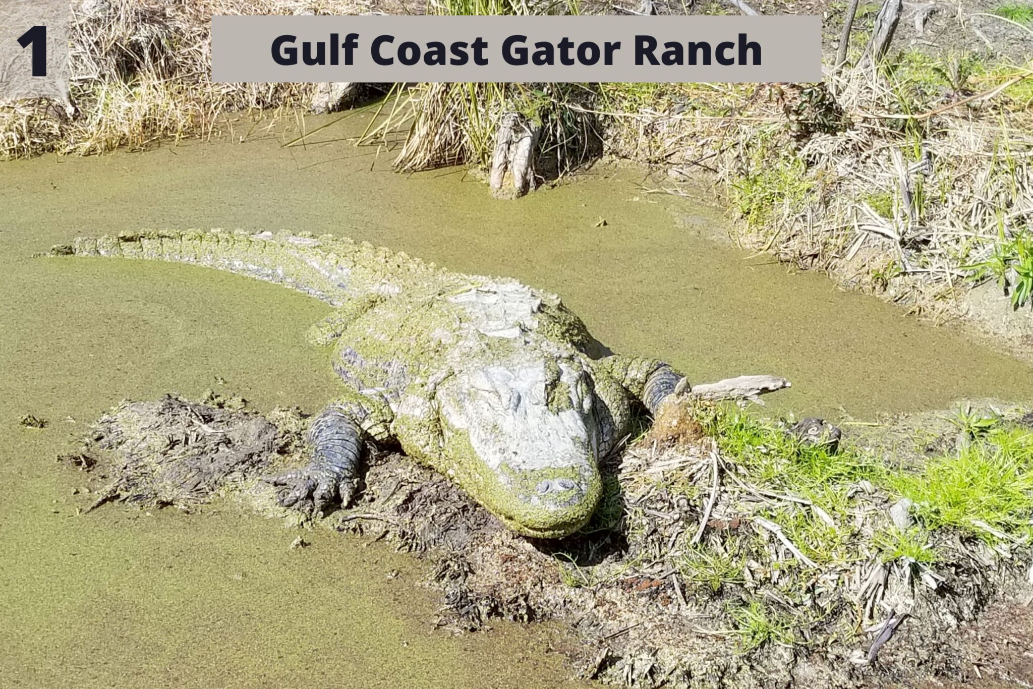 21 Mississippi Gulf Coast Things to Do in Winter