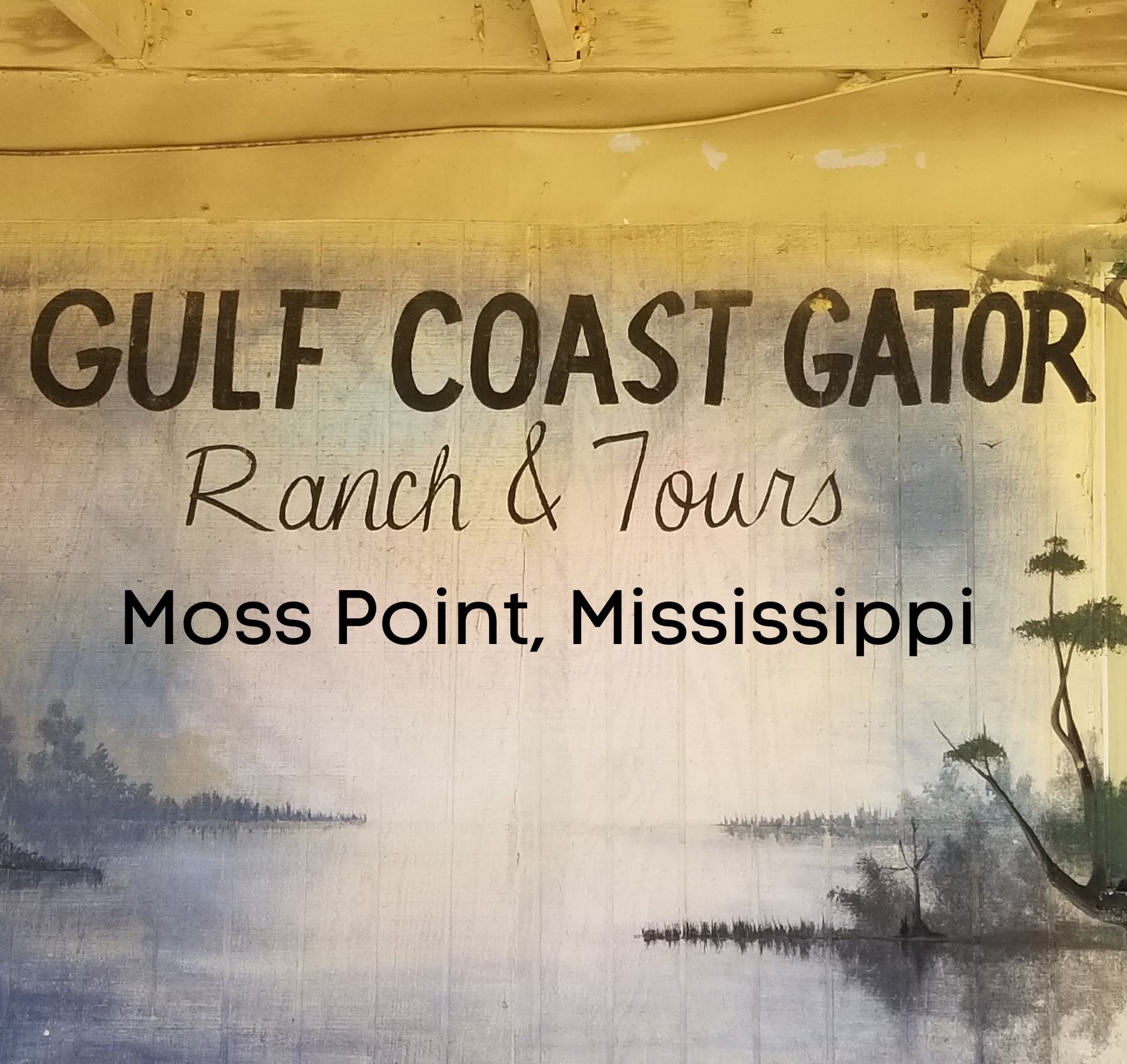 Gulf Coast Gator Ranch: Exploring the Swamp in an Airboat