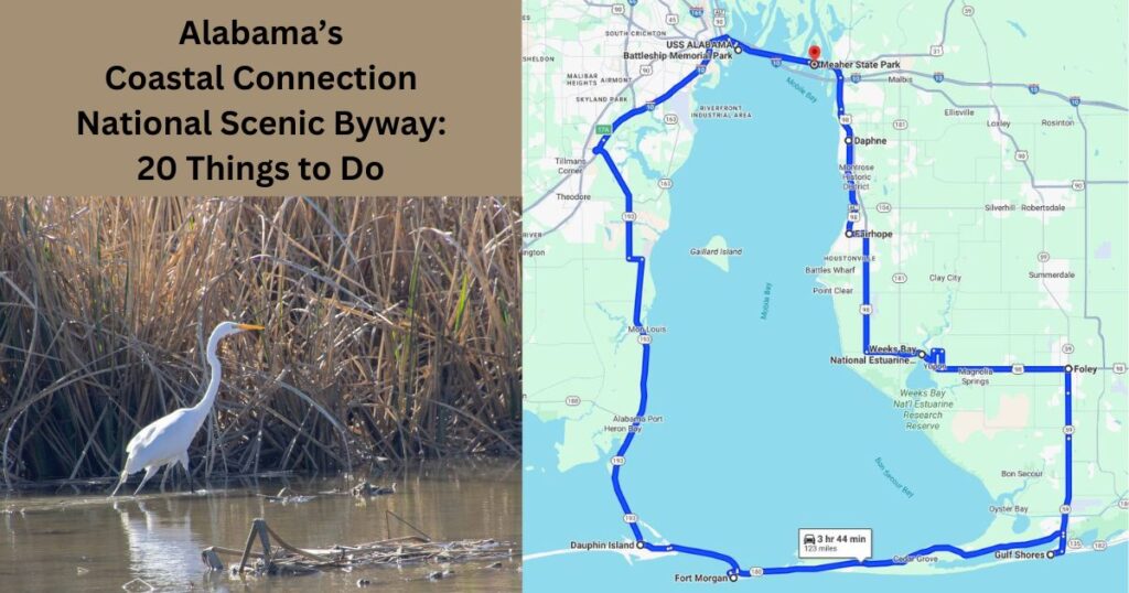Alabama Coastal Connection National Scenic Byway: 20 Things to Do