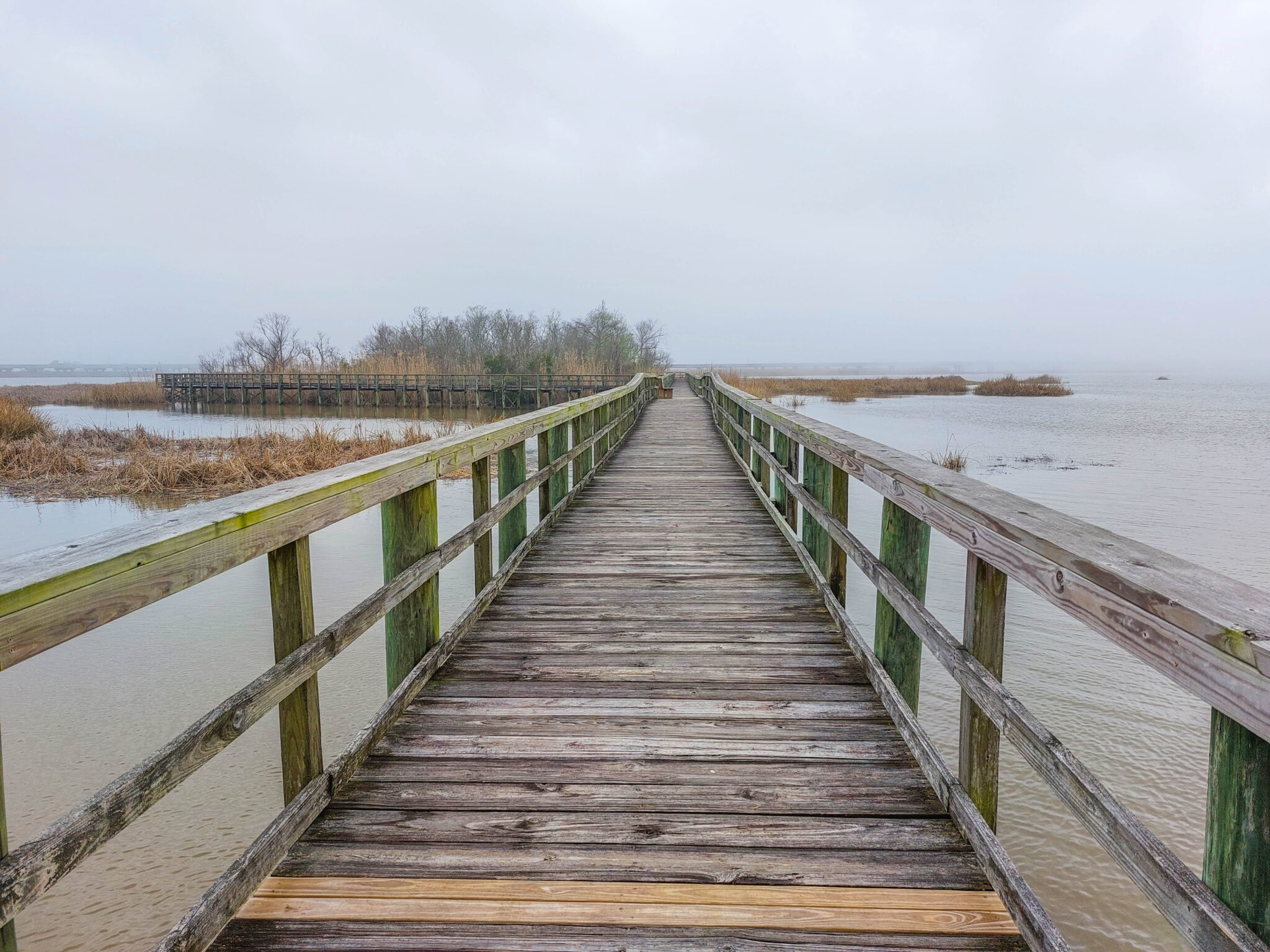 Alabama Coastal Connection National Scenic Byway: 20 Things to Do