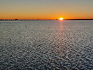 Alabama Coastal Connection National Scenic Byway: 20 Things to Do