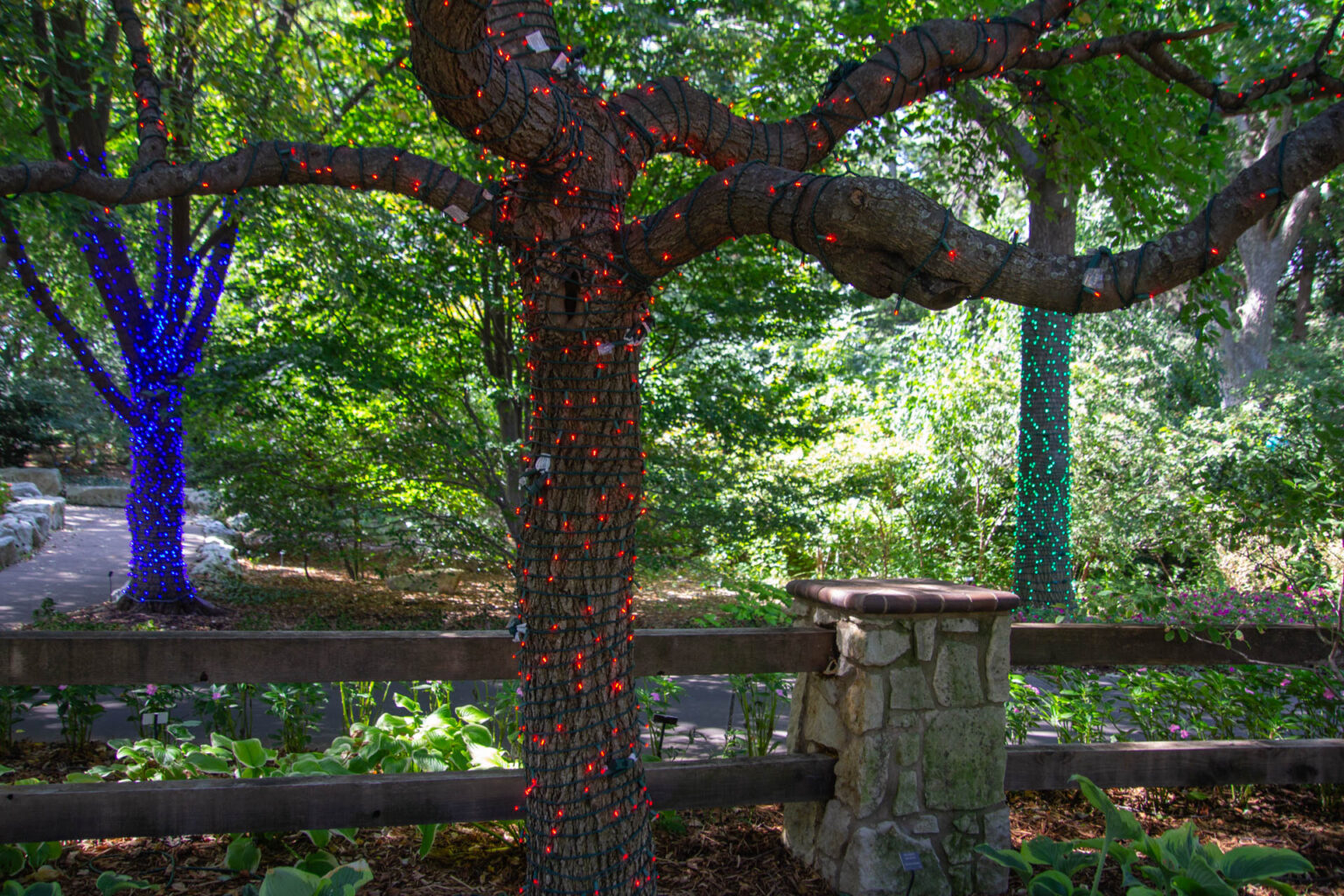 Beyond Blooms: The Wonders of Botanica, the Wichita Gardens