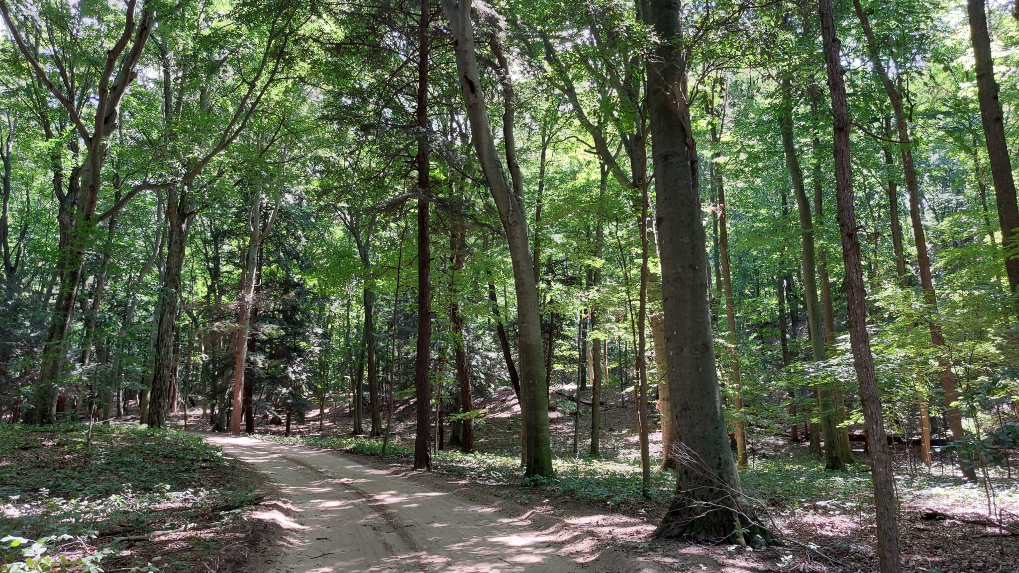 6 Unique Southwest Michigan Beach Towns You Need to Visit